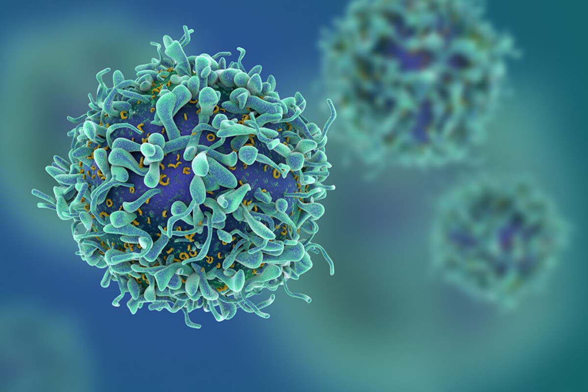 HIV triggers body’s own inflammatory pathways to kill T cells ...