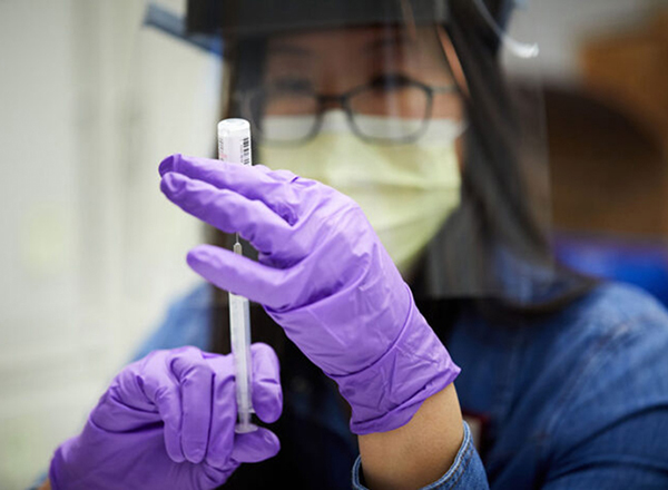 Findings in the lab of Michael S. Diamond, MD, PhD, show new evidence ...