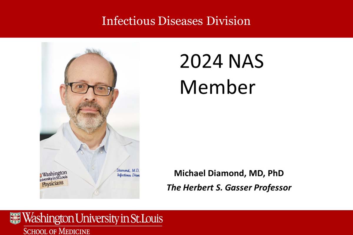 Michael S. Diamond elected to National Academy of Science - Division of ...